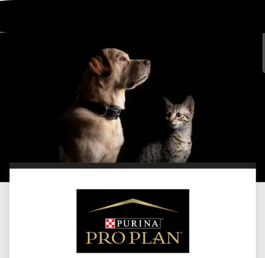 Moline Animal Aid – A No-Kill Animal Shelter serving the Quad CIties